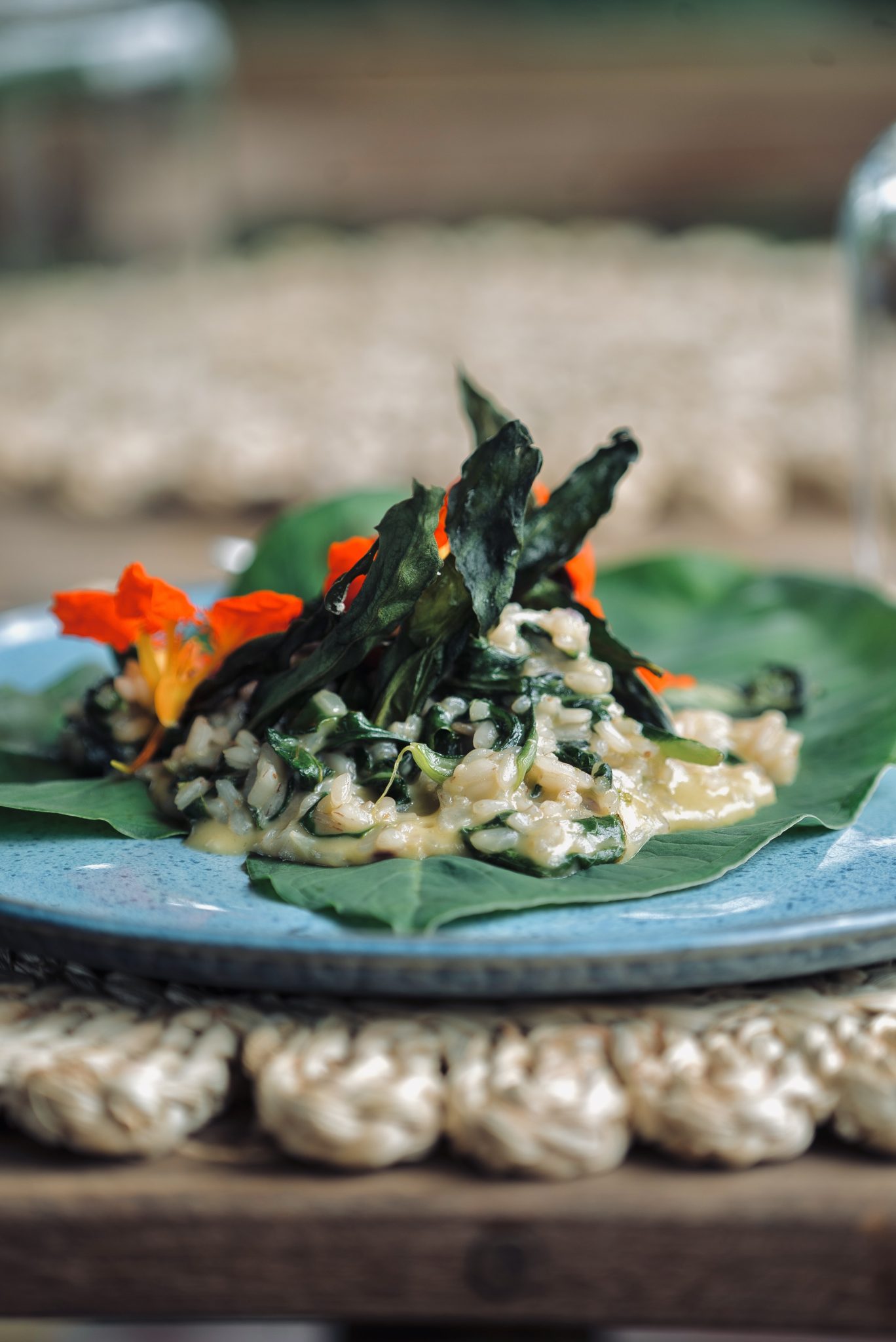 Vegan taioba risotto by Mary, chef at Yucca restaurant - IBITI