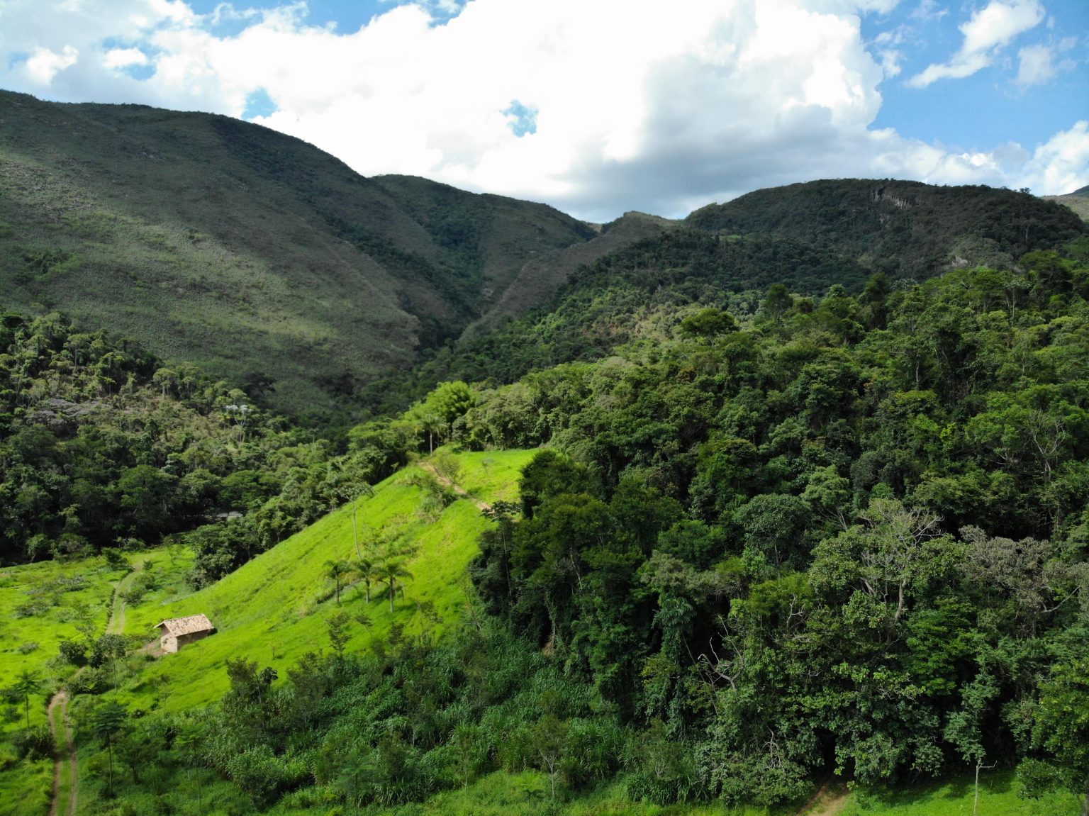 Ibiti Living - IBITI